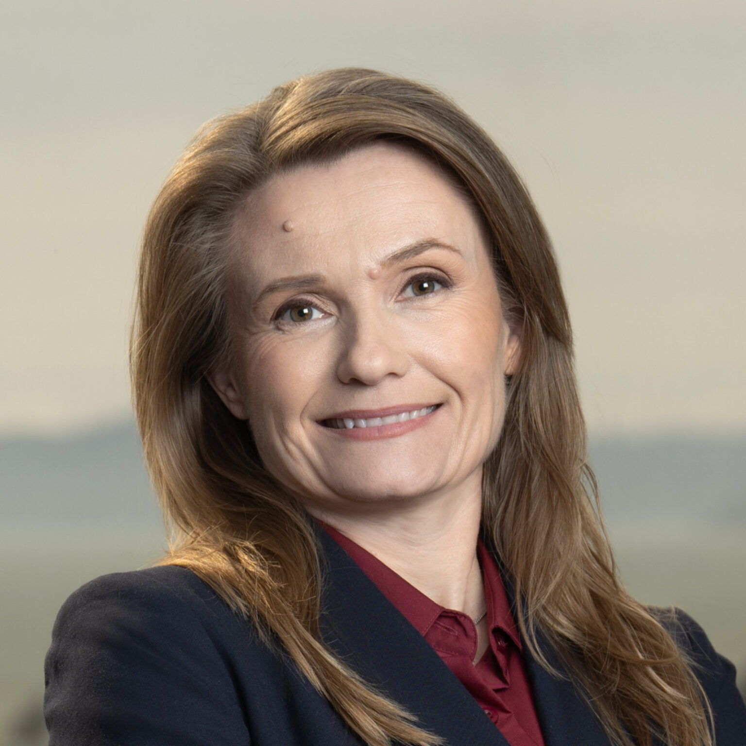 Elizabeth Arnold | Labor & Employment | Labor Law Compliance | Wage and ...