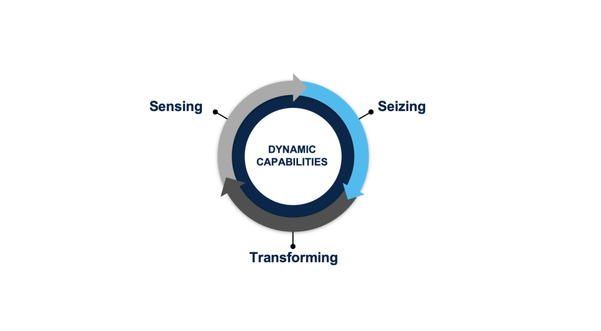 Sustained Peak Performance Program | Services | BRG