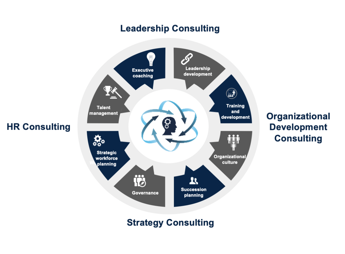 Sustained Peak Performance Program | Services | BRG