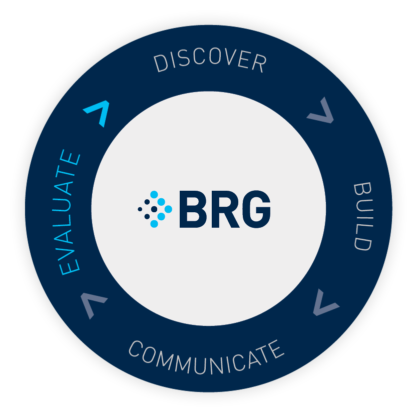 Performance Improvement & Advisory | Privacy and Data Protection | Services | BRG